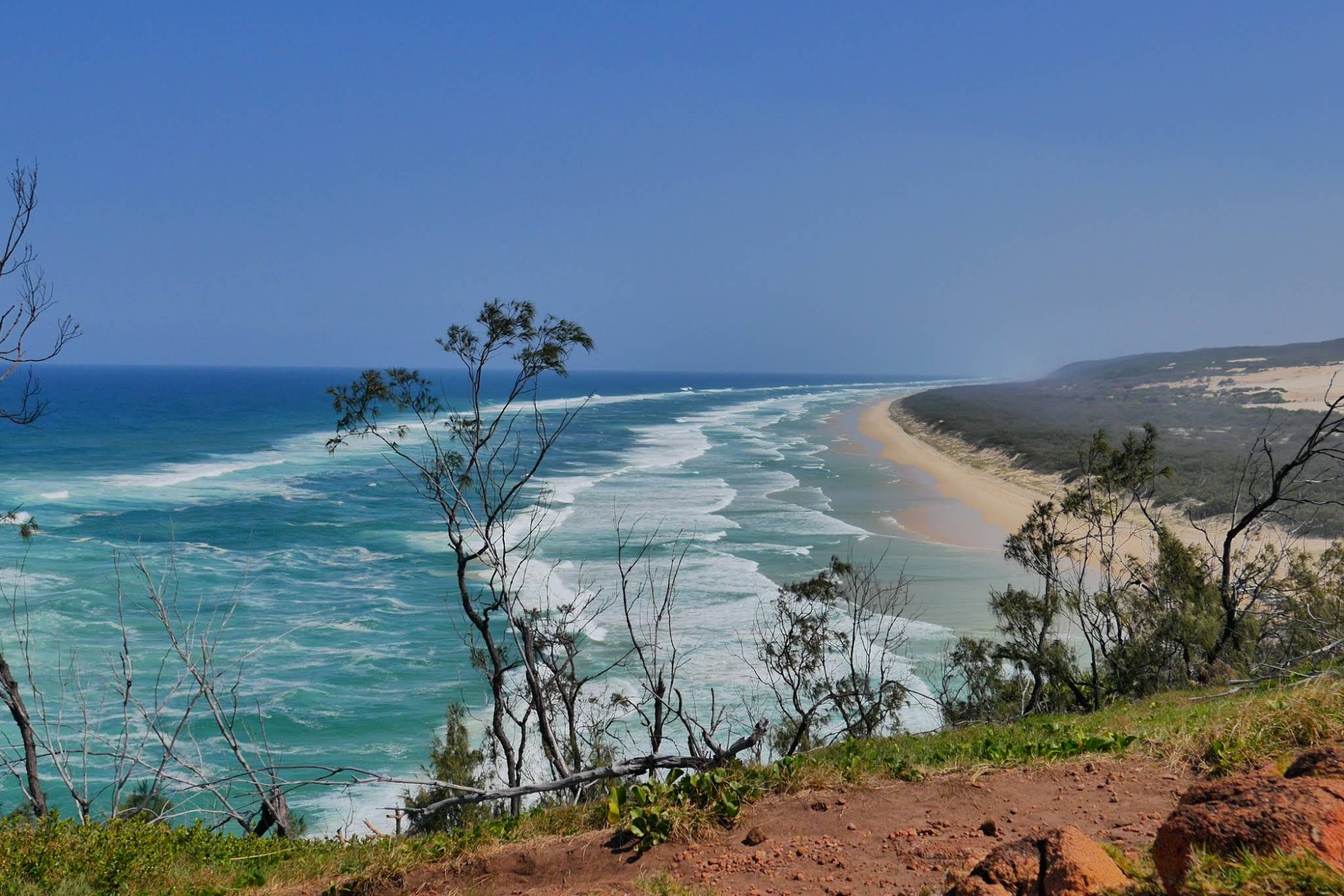 Your Local Branch - Pest Control Australia
